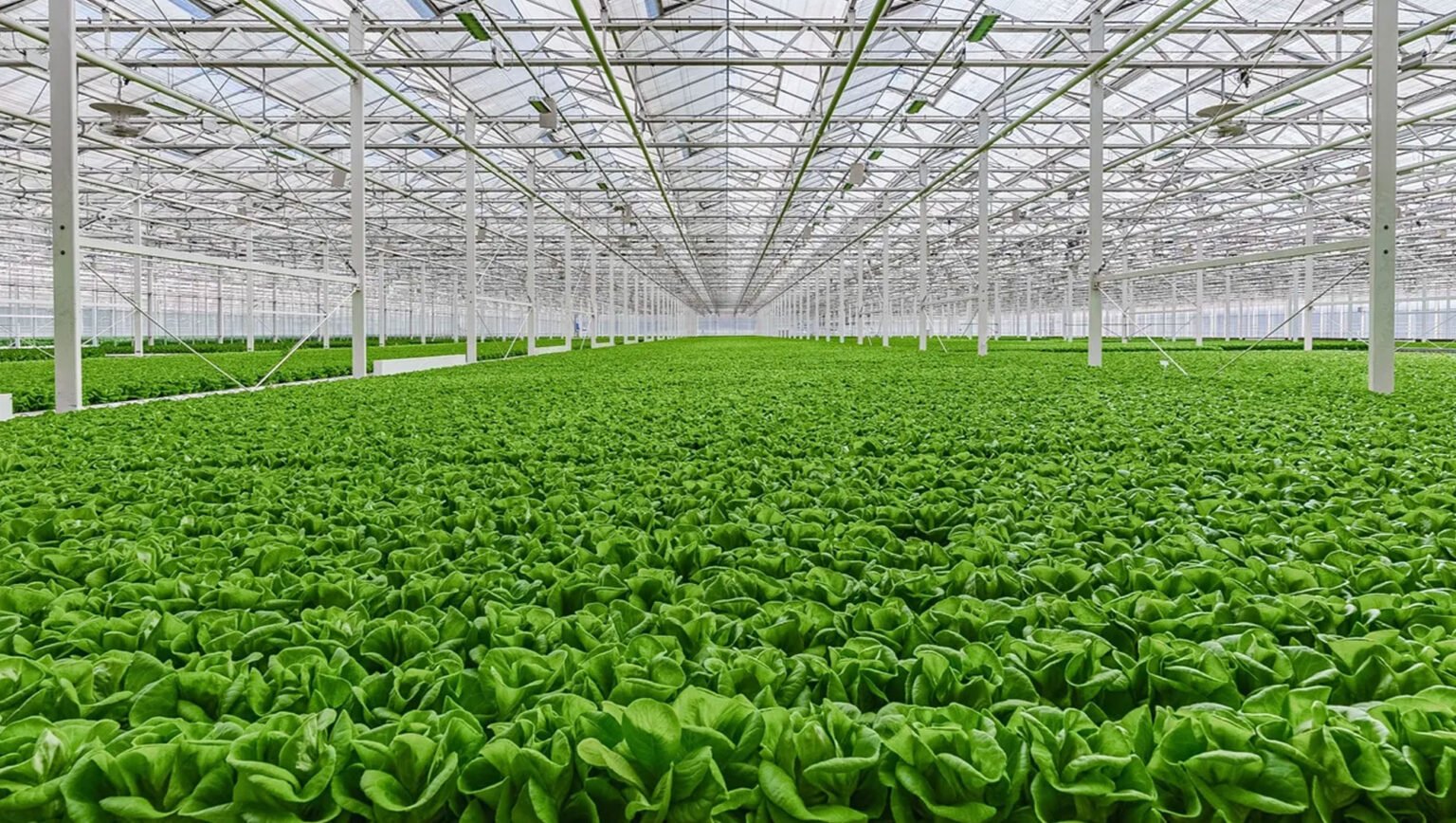 How Climate Change Is Reshaping Atlanta’s Infrastructure